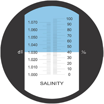 The Complete Guide to Salt in Food