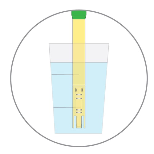 Electrical Conductivity: The Ultimate Guide