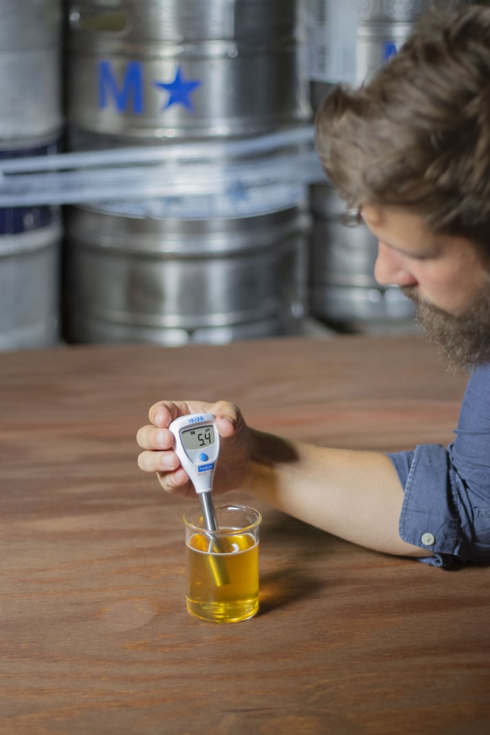 pH, Your Brew, and You; The Importance of pH and Brewing Beer