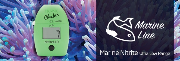 How to Test for Nitrite in Your Aquarium