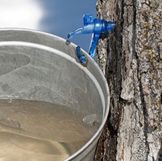 Monitoring pH in Reverse Osmosis in the Maple Industry
