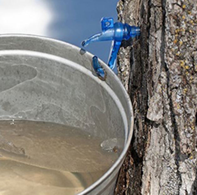 Monitoring pH in Reverse Osmosis in the Maple Industry